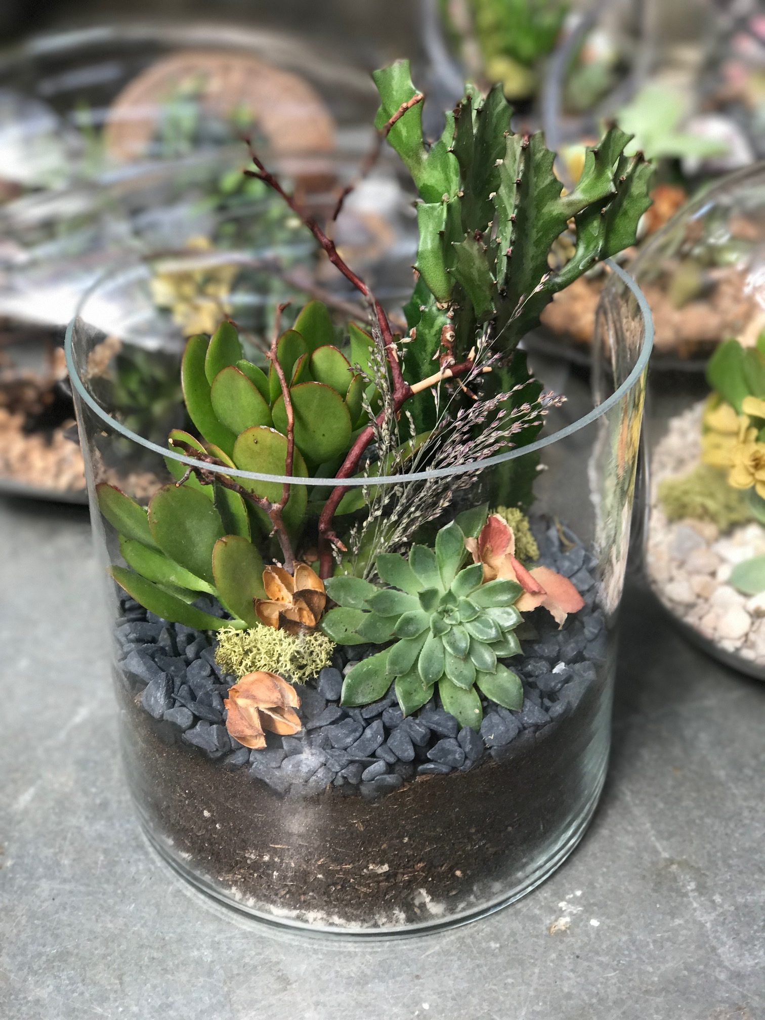 Terrariums – Petals & Paper